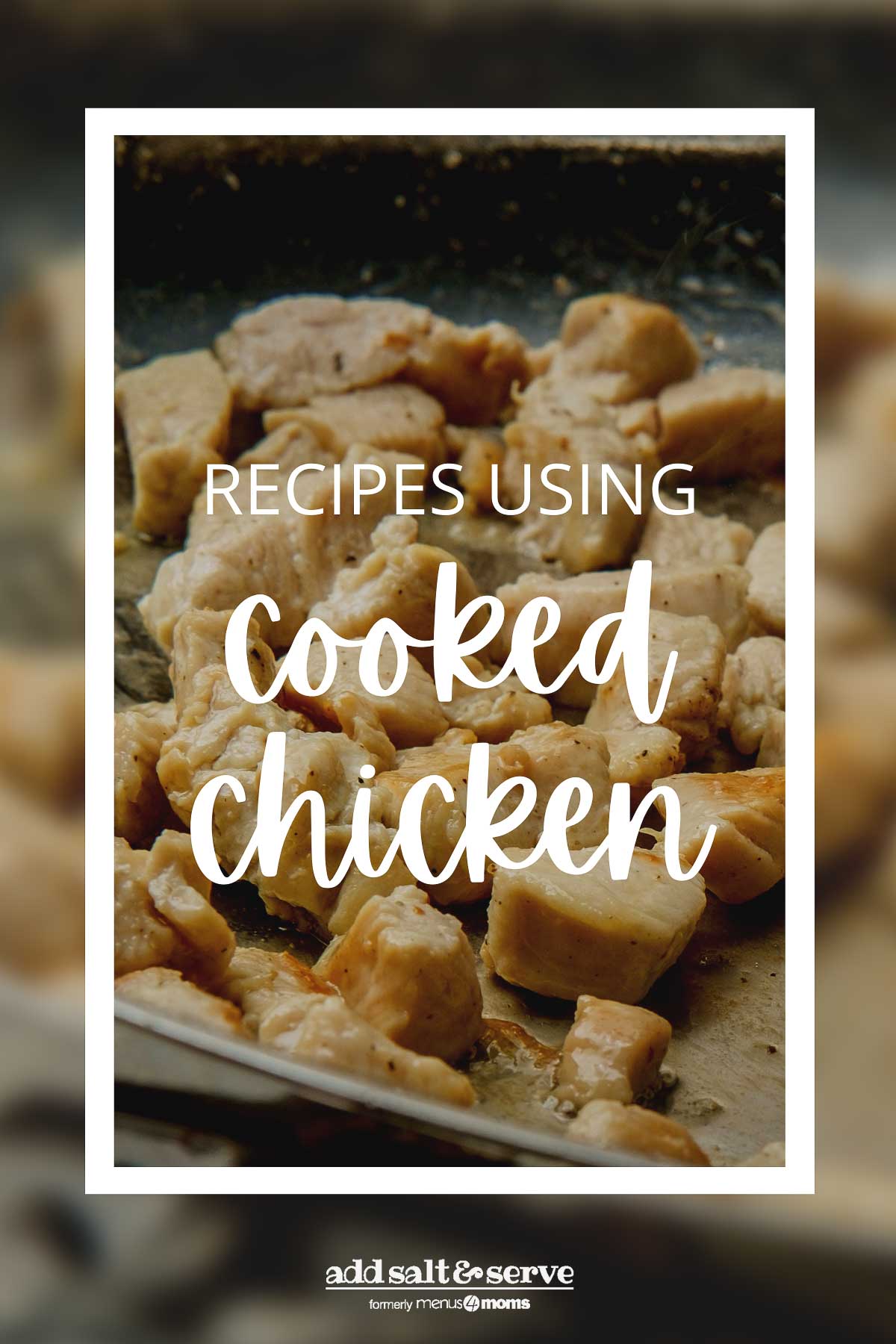 Recipes Using Cooked Chicken – Add Salt & Serve