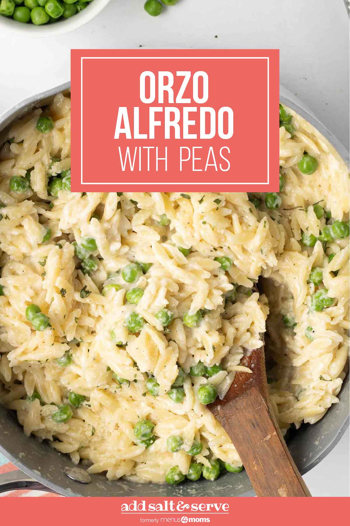 Orzo Alfredo – Add Salt & Serve